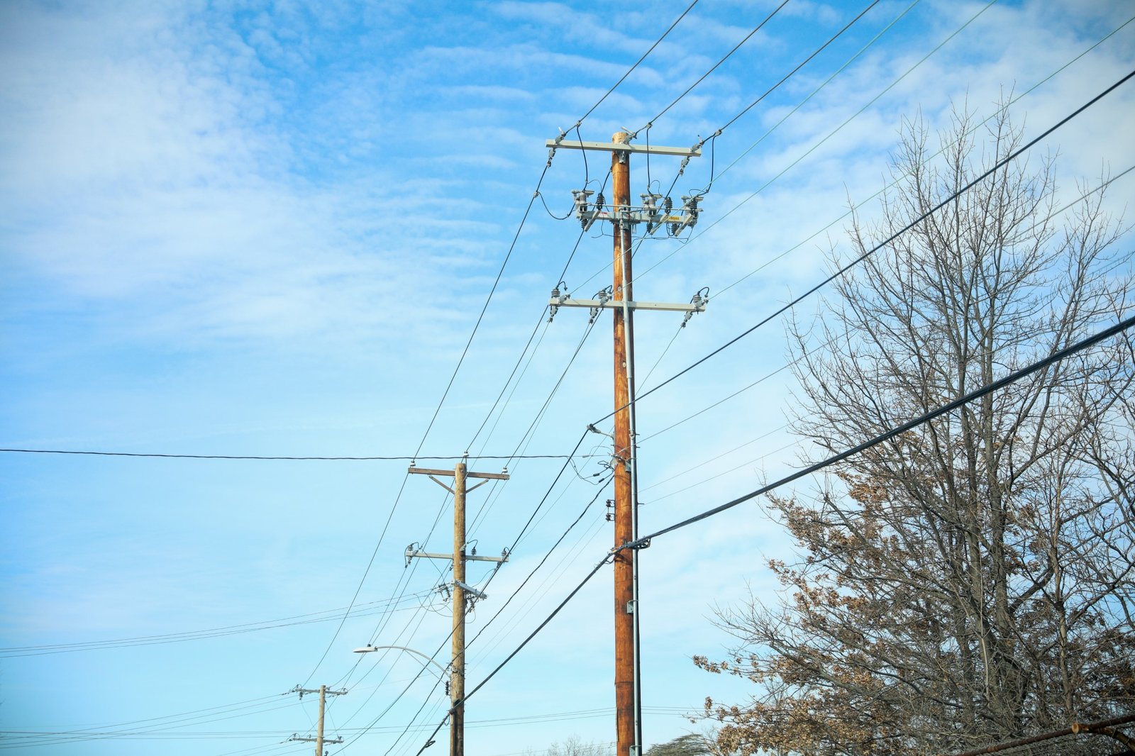 Postes eléctricos de distribución – Forestal La Reforma